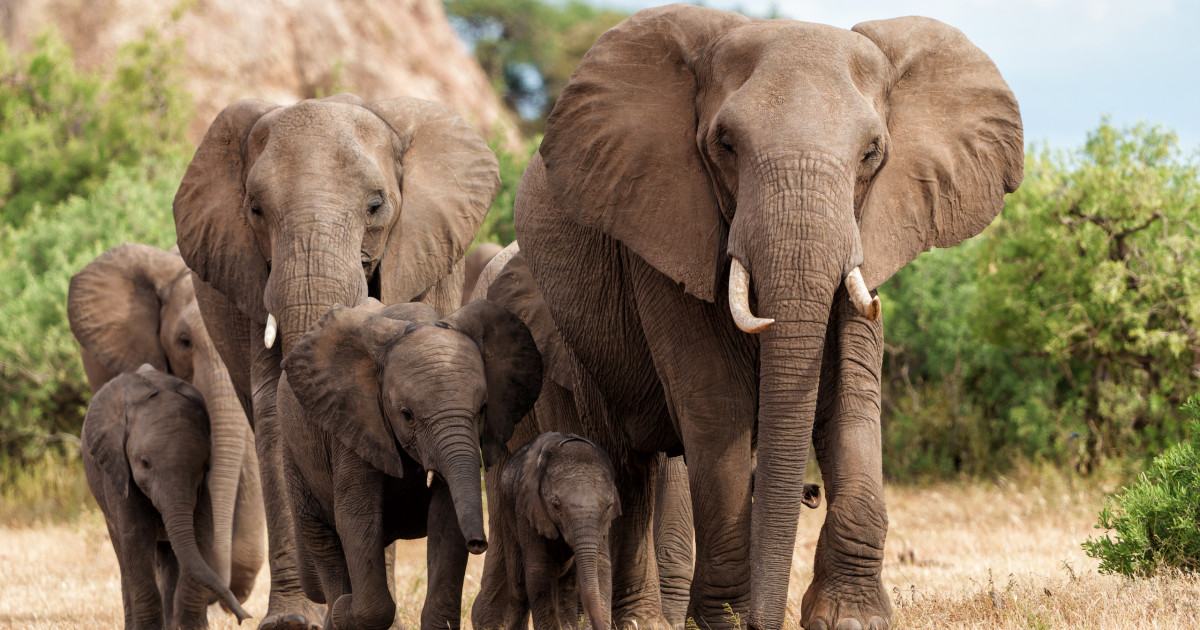 4 Star Kruger Gate Hotel | Pentravel | Packages